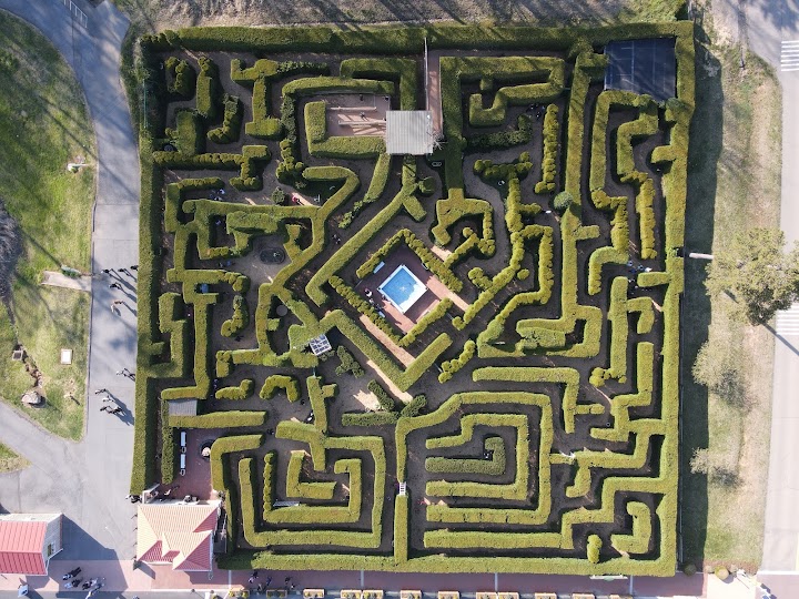 The Garden Maze at Luray Caverns - Blue Maple