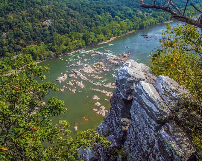 Split Rock - Blue Maple