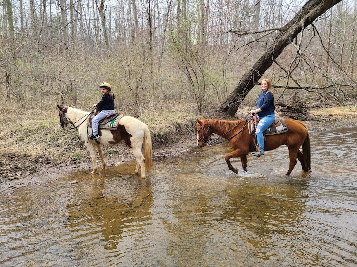 Rocking S Ranch - Blue Maple