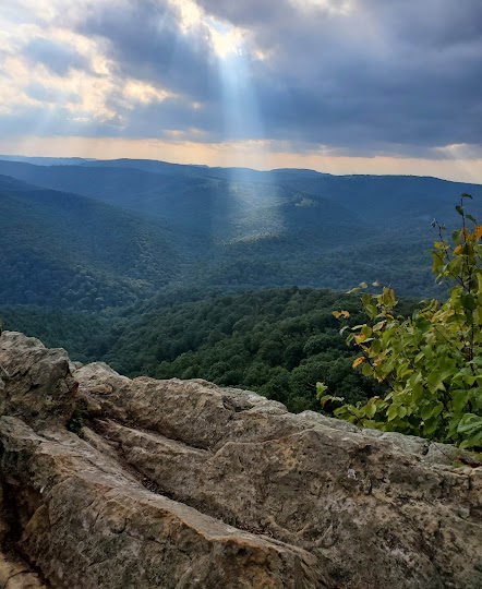 Lost River State Park - Blue Maple