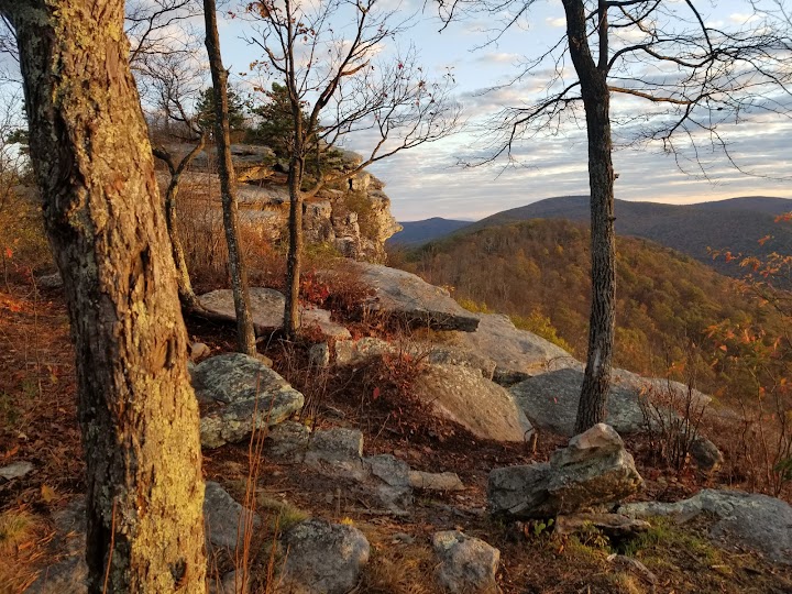 Wolf Gap Recreation Area - Blue Maple