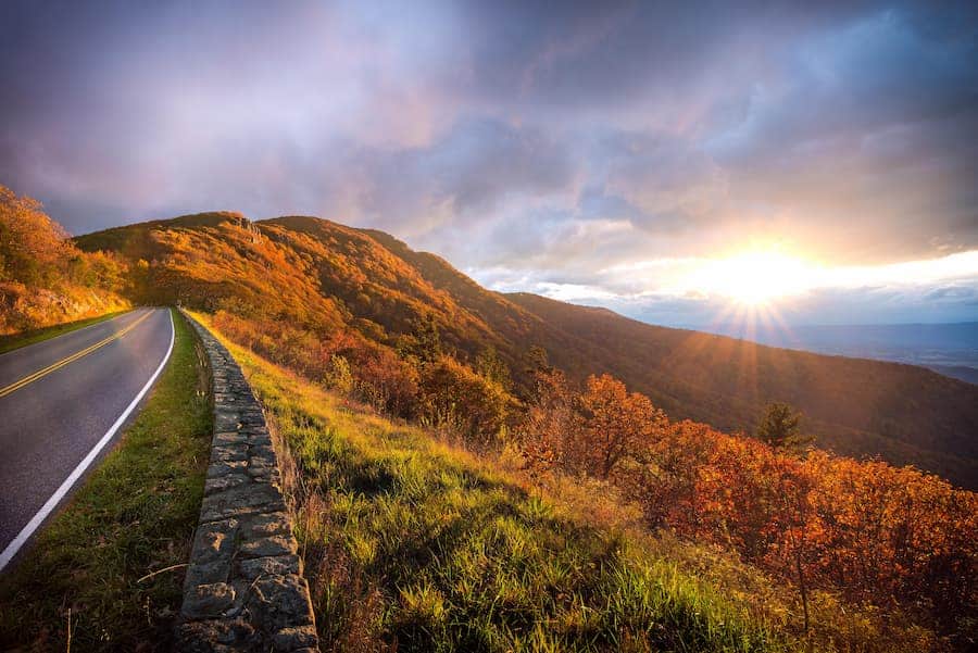 Shenandoah Valley, VA - Blue Maple