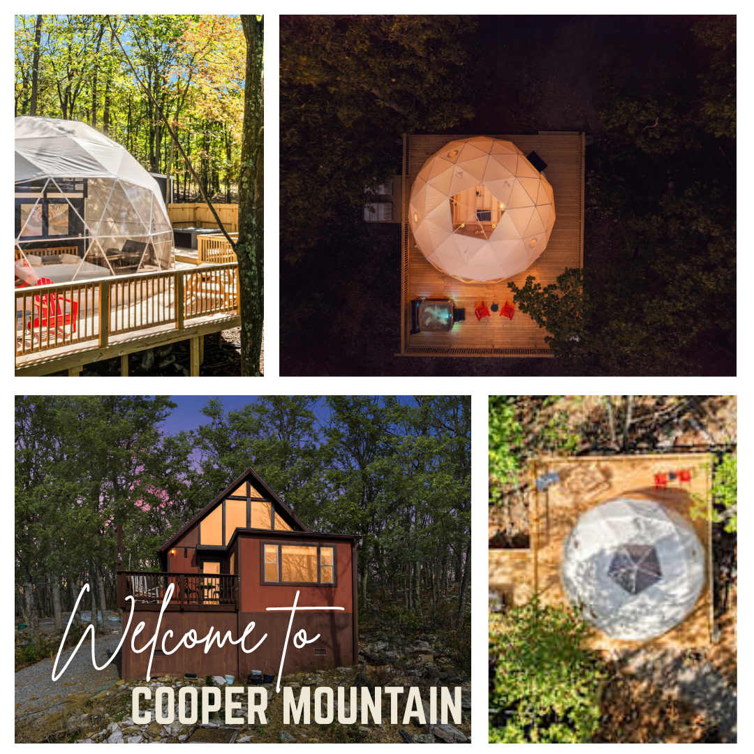 Cooper Mountain - Blue Maple