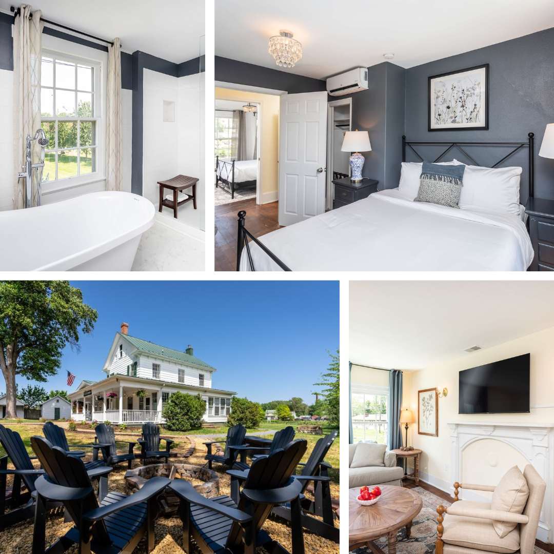 The Eden Suite - Blue Maple